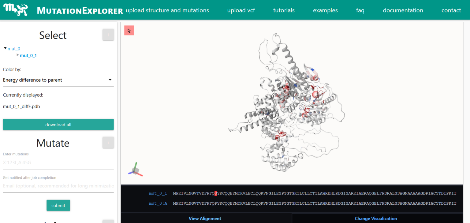 Mutation Explorer - Protein Mutation and Stability Analysis